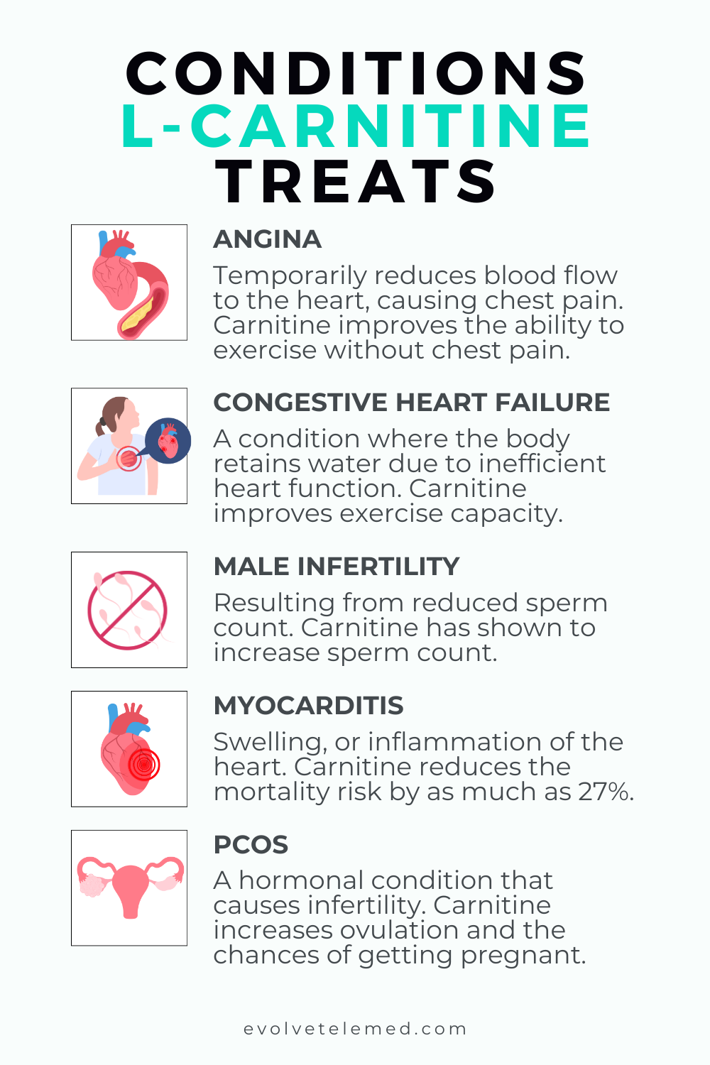 L-Carnitine Injections: Uses, Dosage, Side Effects, Pricing | Evolve